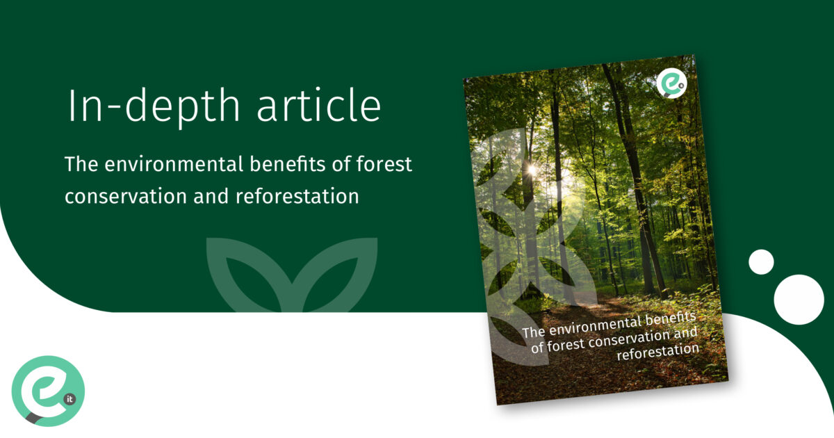 The environmental benefits of forest conservation and reforestation ...